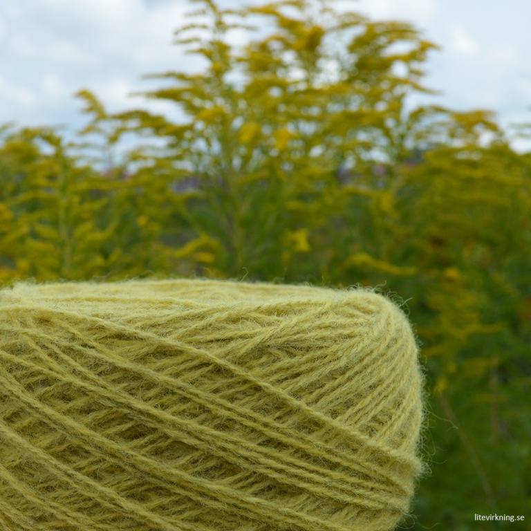 Växtfärgat garn på kanadensiskt gullris – litevirkning